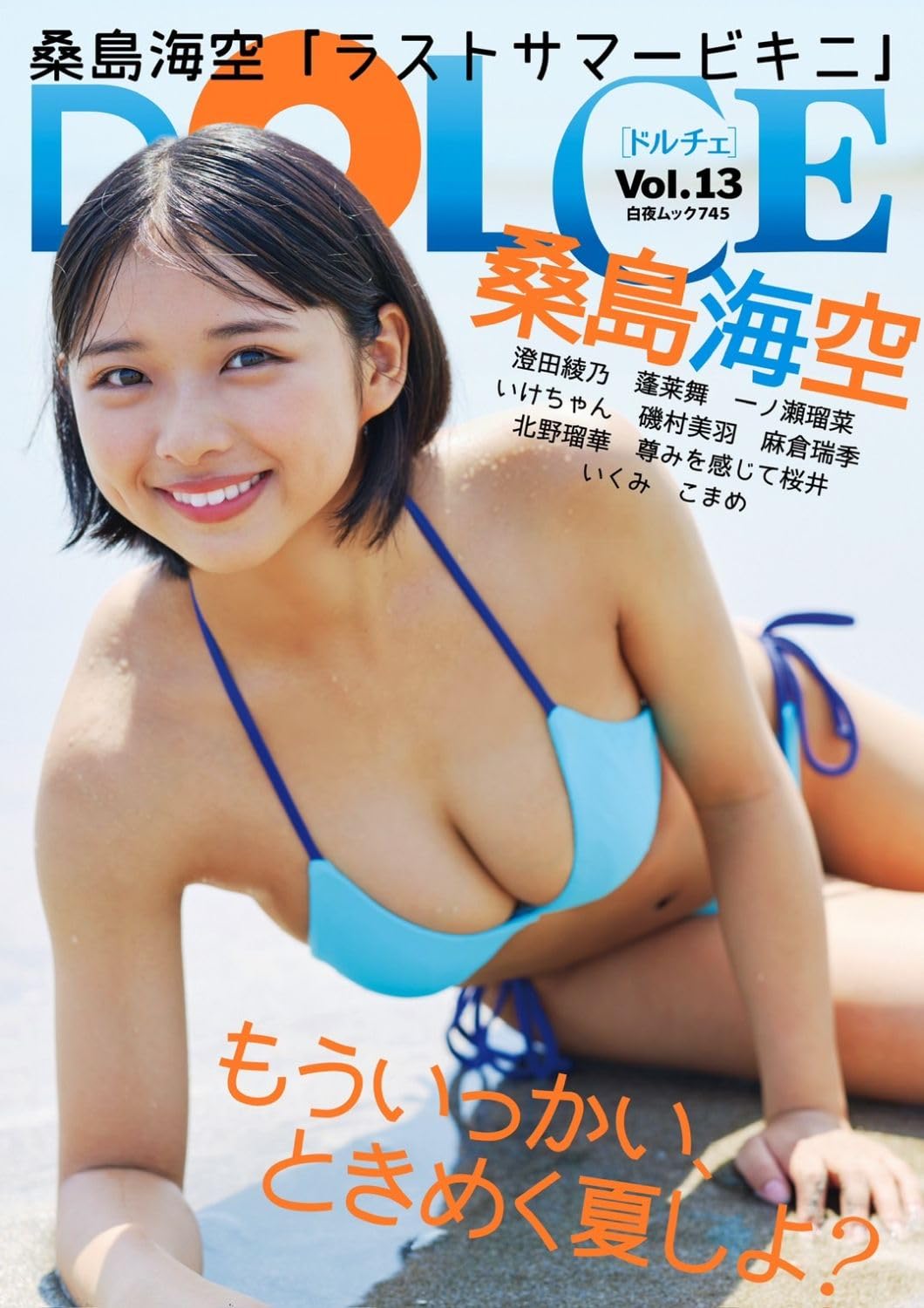 DOLCE Vol.13 – MOYASHI JAPAN BOOKS