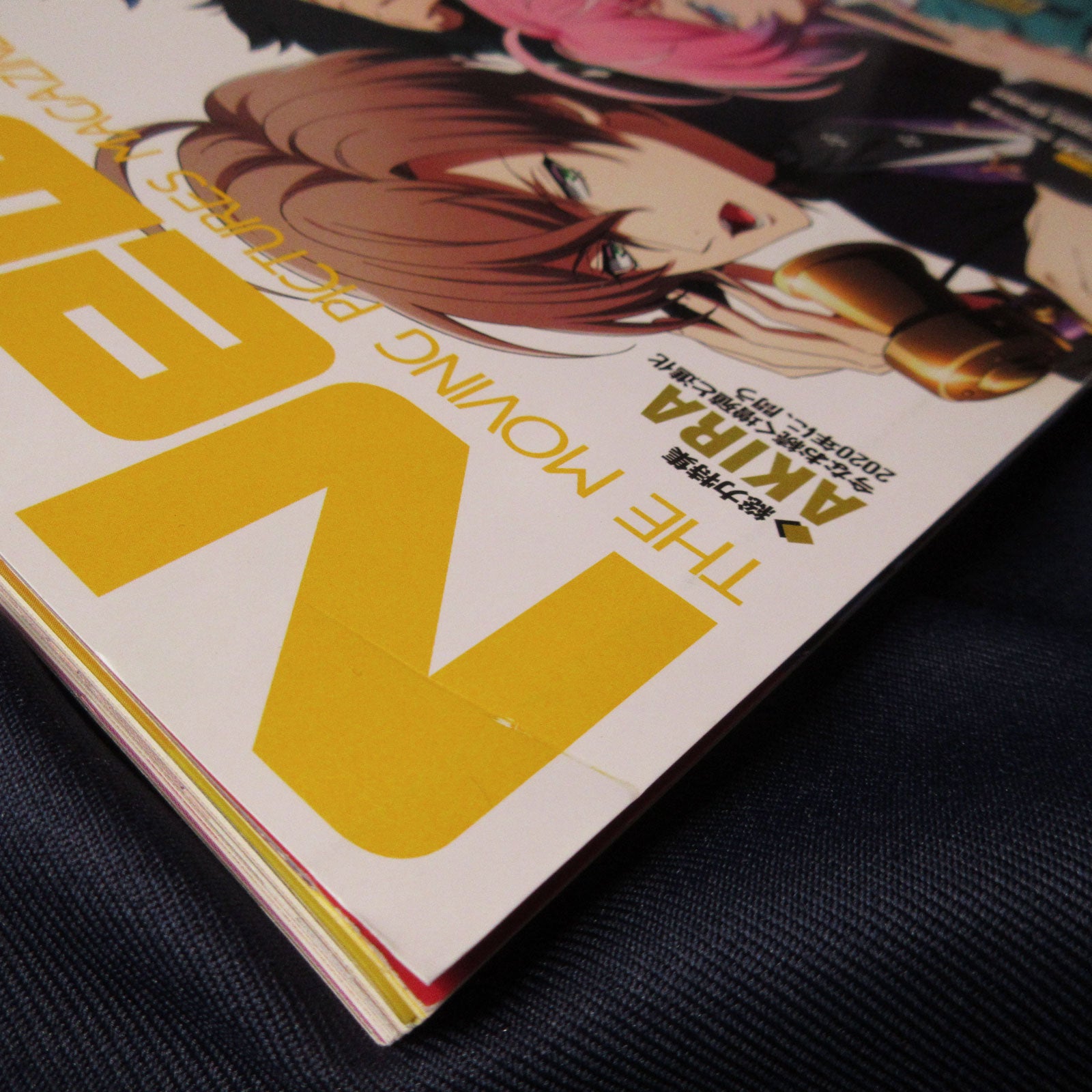 Newtype January 2021 – MOYASHI JAPAN BOOKS